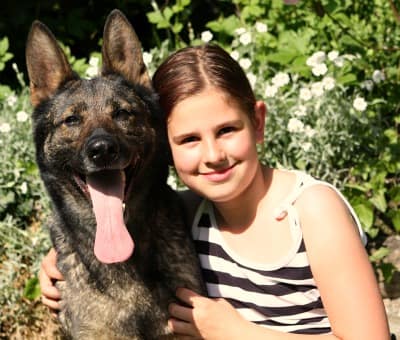 Beyka von der Gletscherhöhle – Zwinger vom Ruinenblick